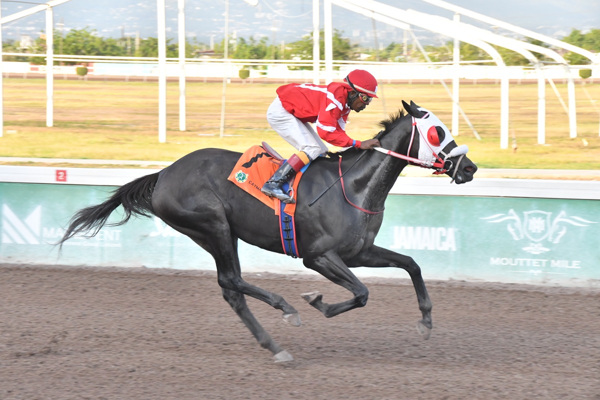 Only A Brave Punter Will Go Against Supernatural Power - Quickgallopja.com