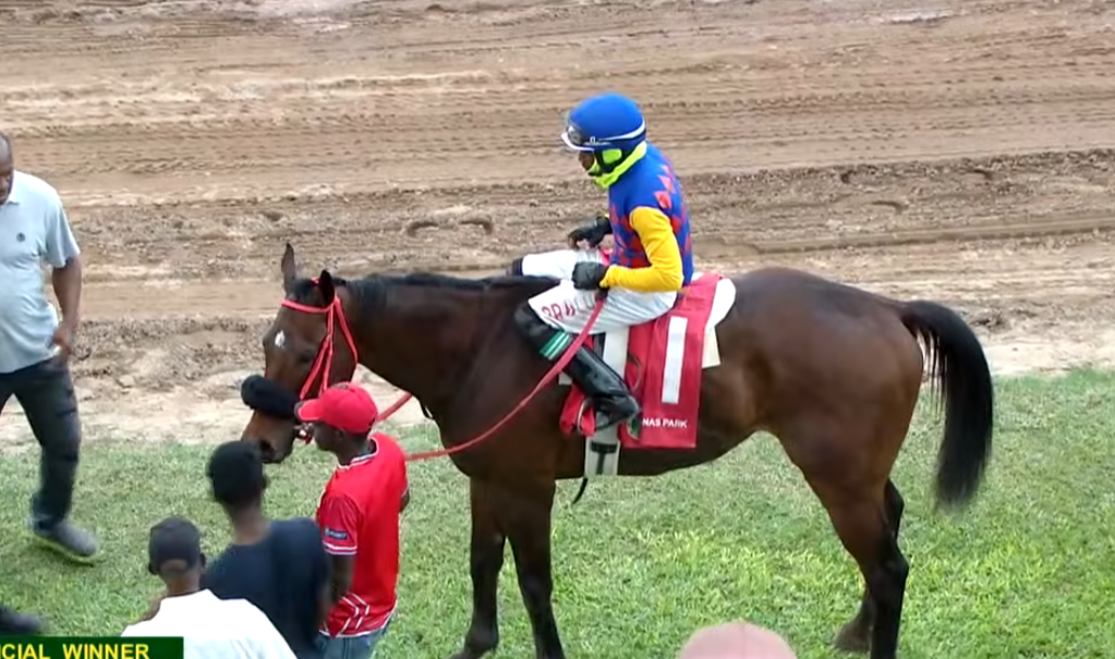Absolute Blue From Gate To Wire, Sat, Mar 14, 2026, 6th - Quickgallopja.com