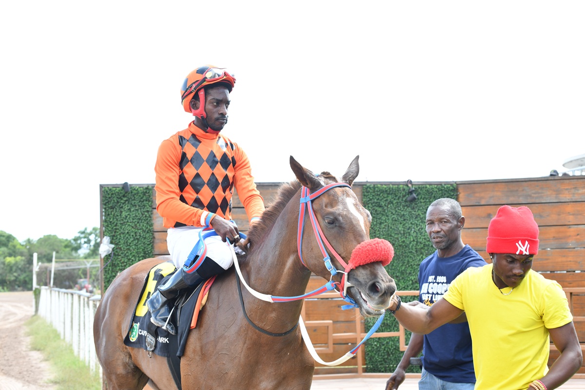 We Will Be Patient With Aliyah’s Will – Trainer Michael Spencer ...