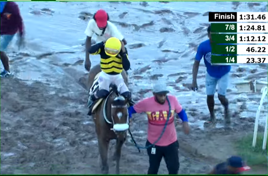 Sir Don Sparkles In King’s Plate, Sun, Mar 29, 2026, 9th ...