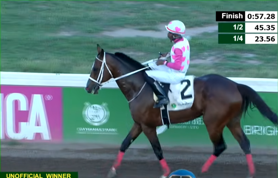 Teflon Don Takes Sat, Mar 21, 2026, 9th - Quickgallopja.com