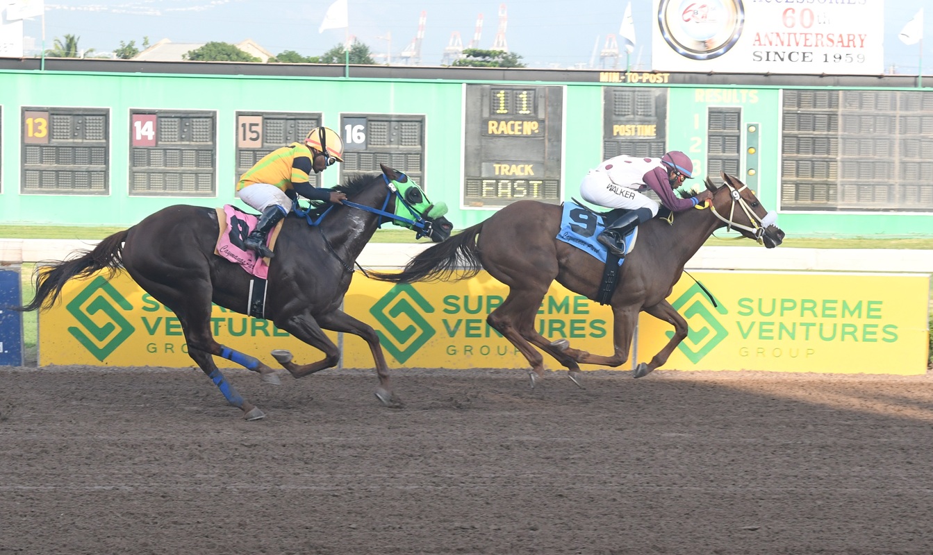 Past Winners Of The Thornbird Stakes - Quickgallopja.com