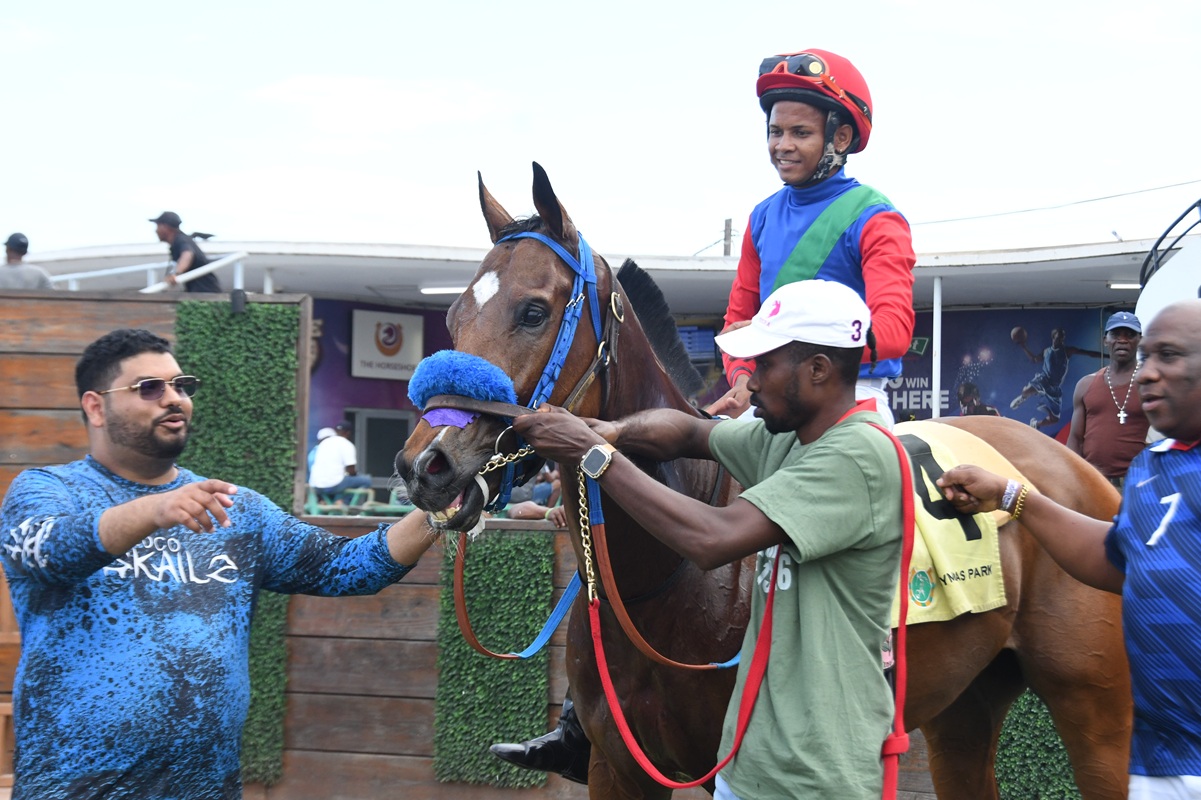Diesel Train Returns With A Striking Performance - Quickgallopja.com