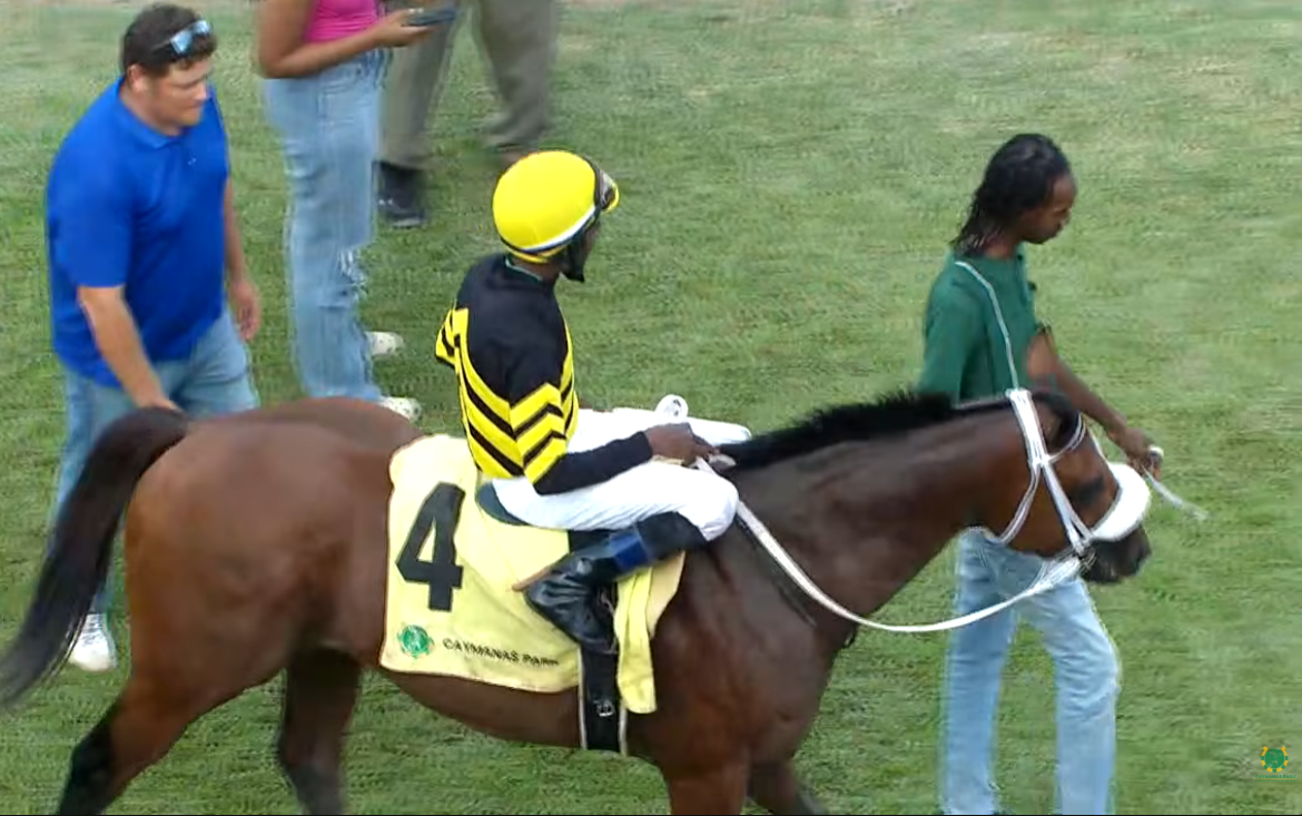 Sir Don Is The 2026 Viceroy, Sat June 20, 2026, 8th - Quickgallopja.com